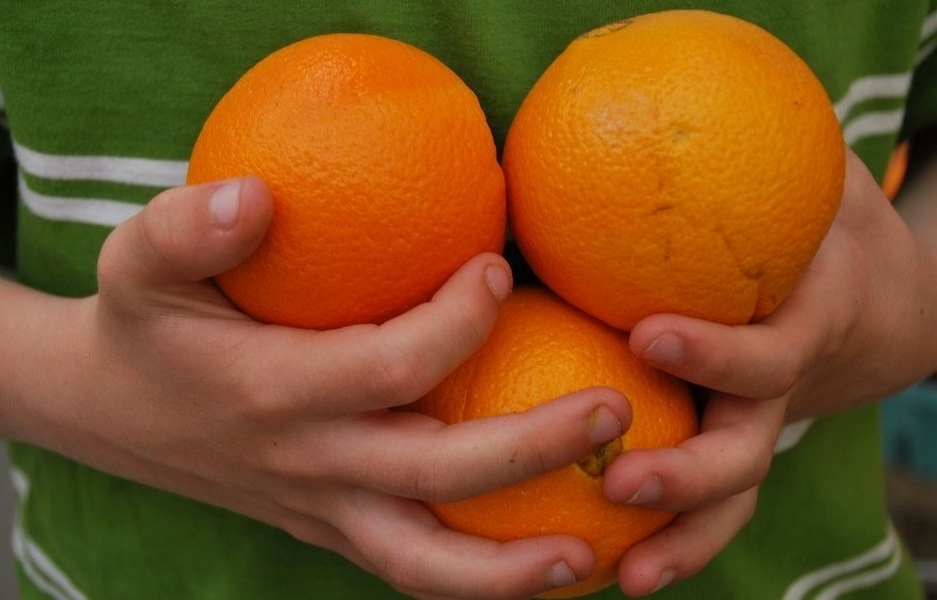 Farm Market & Produce - Weavers Orchard