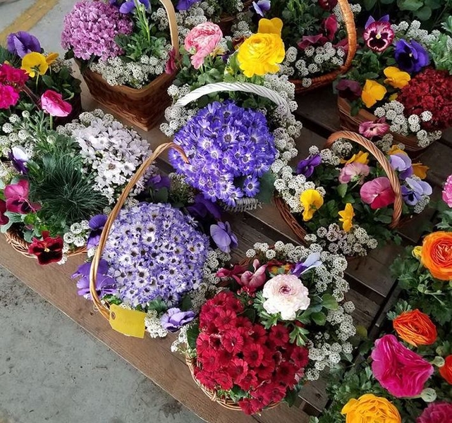 Weaver's Orchard - Farm Market & Pick-Your-Own