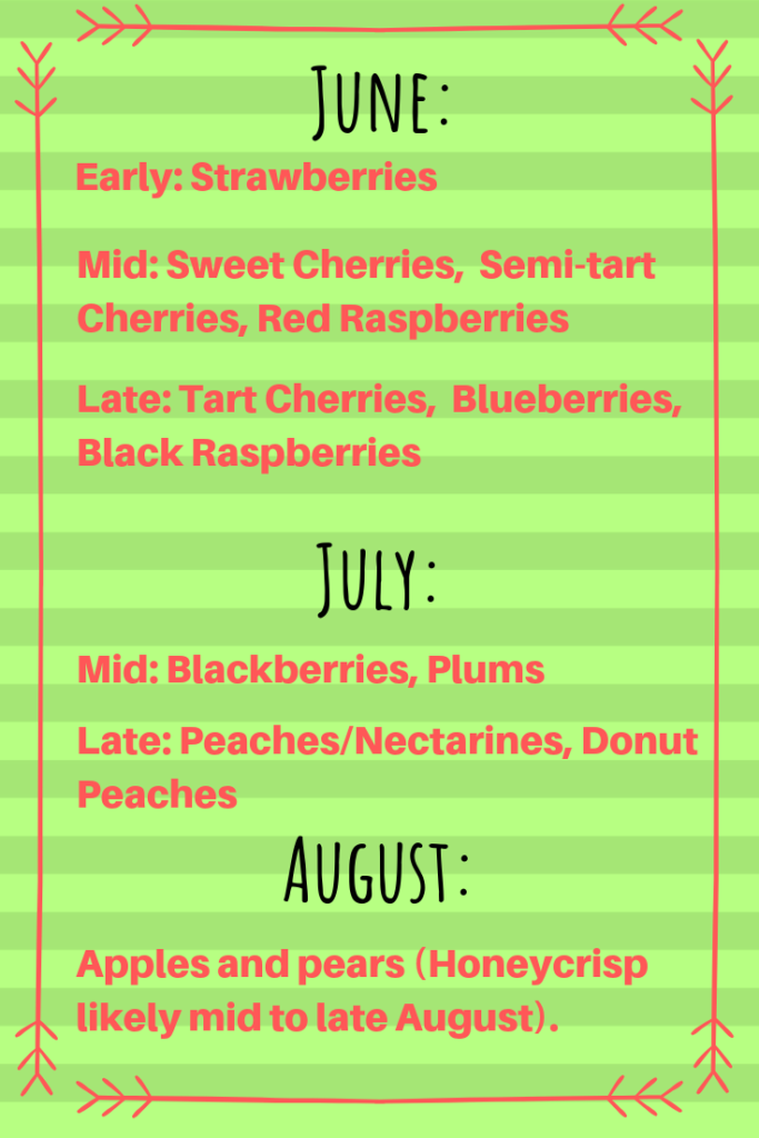 Tips for Drying Fresh Fruit Without A Food Dehydrator - Weavers Orchard