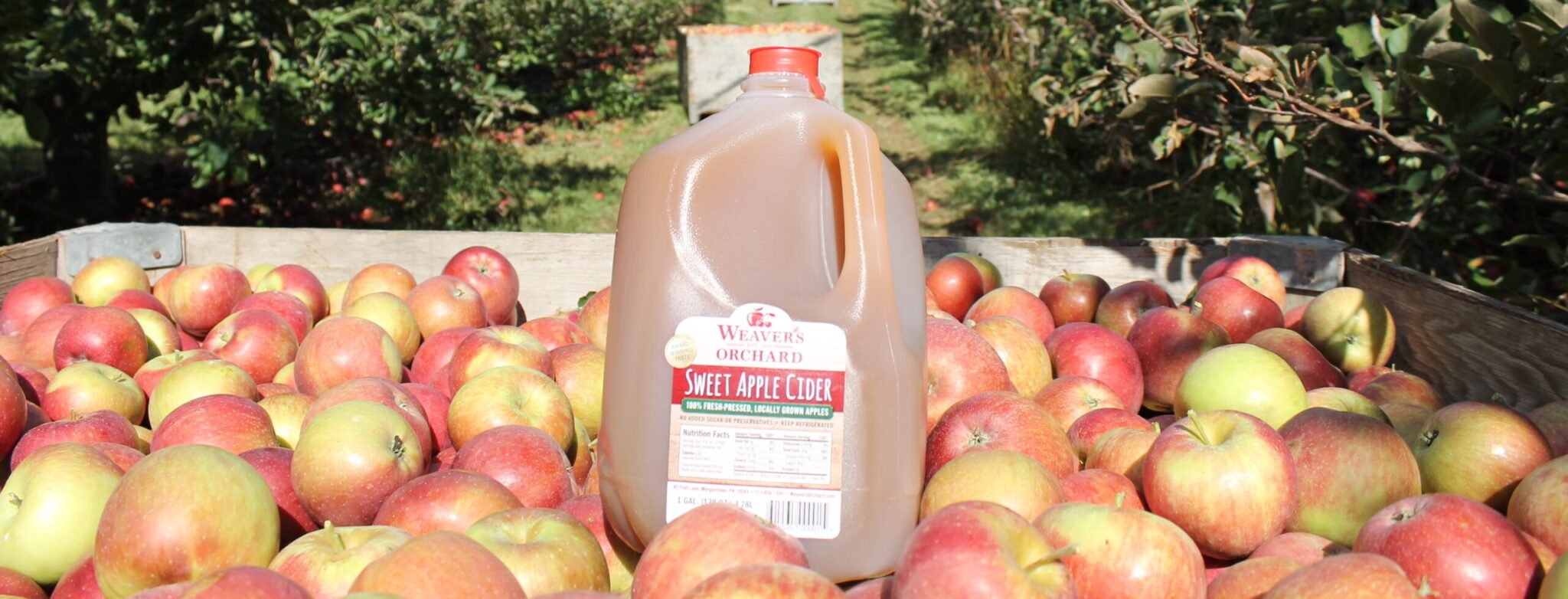 Weaver's Orchard - Farm Market & Pick-Your-Own