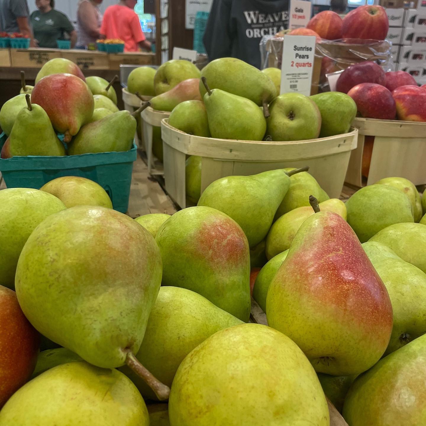 Pear Apple Muffins - Weavers Orchard